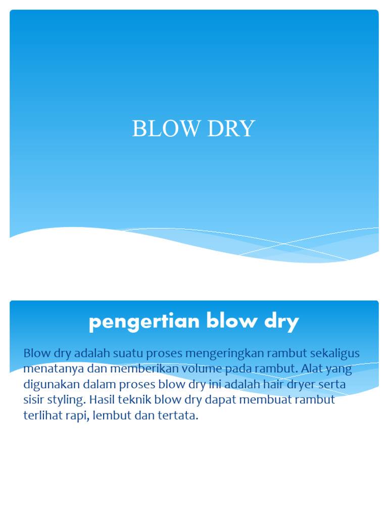 Blow Dry | PDF