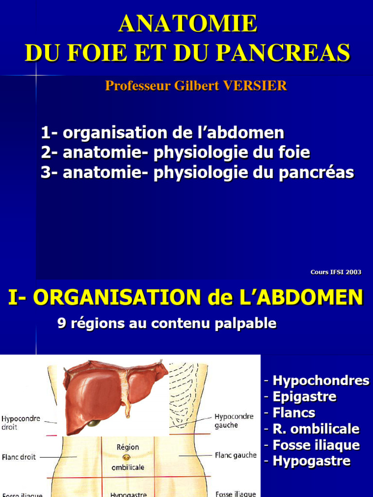 Anatomie Du Foie Et Du Pancreas | PDF