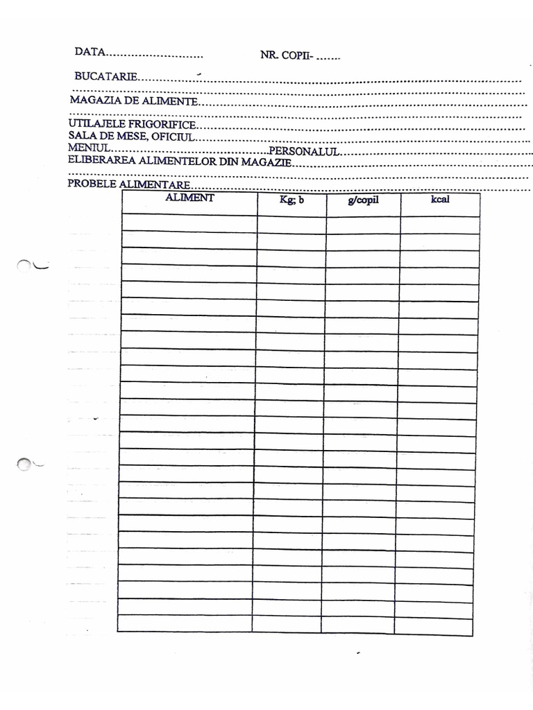 Calcul Fisa Alimente | PDF