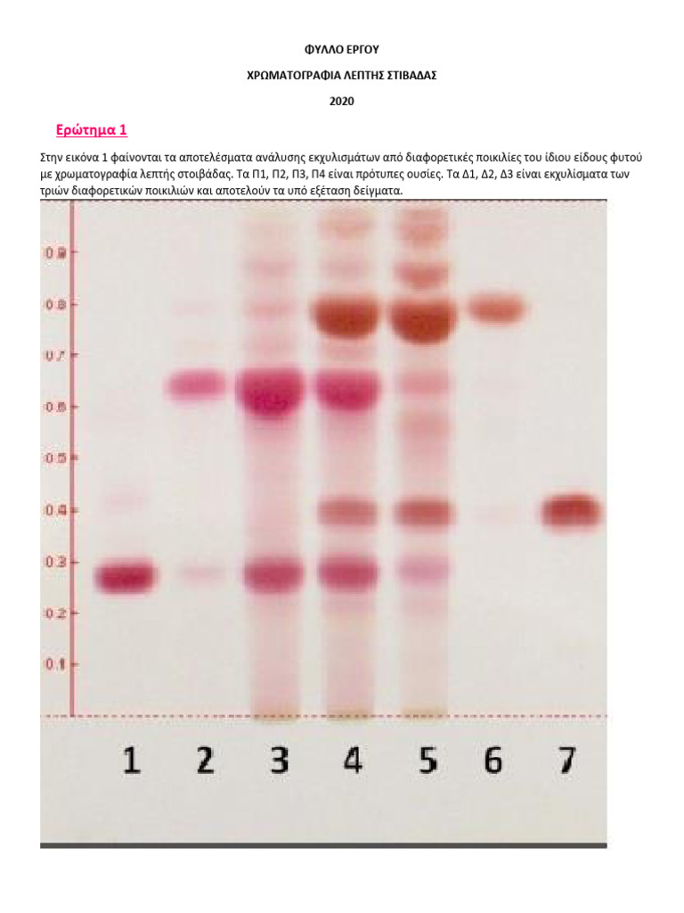 ΠΑΠΑΔΗΜΗΤΡΙΟΥ ΧΡΙΣΤΙΝΑ TLC | PDF