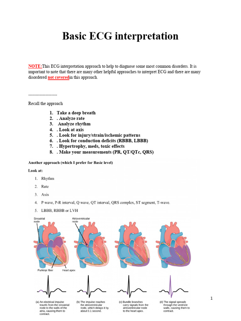 16-Handout_ ECG Interpretation(Study This) | PDF | Electrocardiography ...