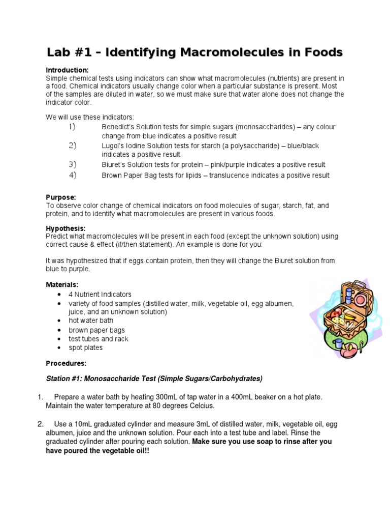 Identifying Macromolecules in Common Foods Through Qualitative Chemical ...