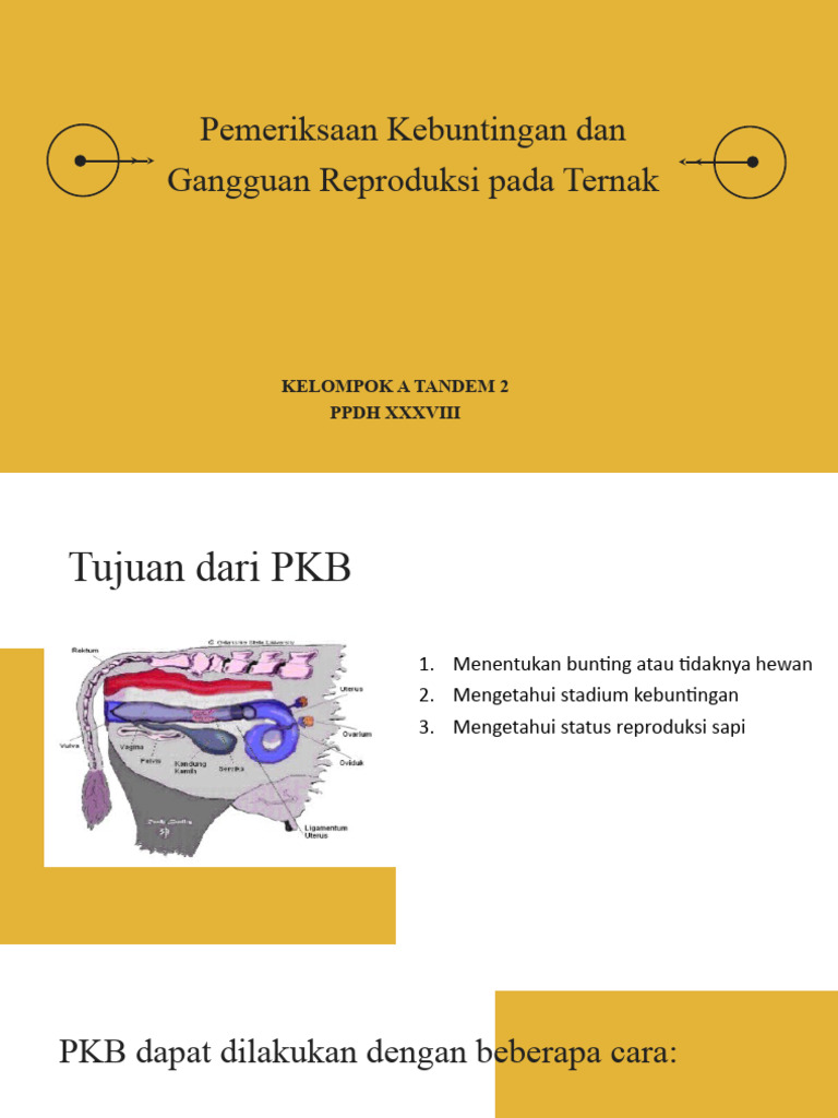 PKB Dan Gangrep | PDF