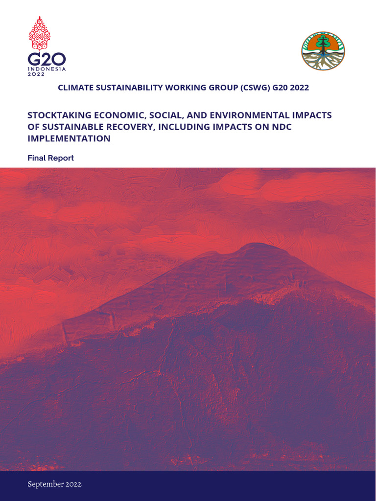 Final REPORT - CSWG Study 1.1 | PDF | Climate Change Mitigation ...