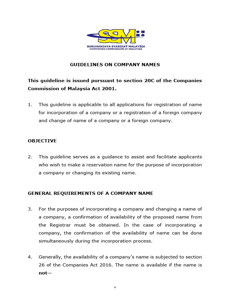 Guidelines on Company Names | PDF