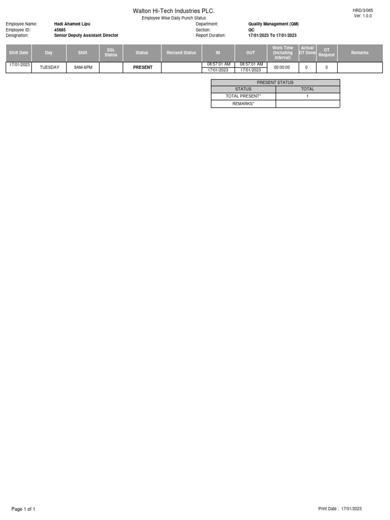 Daily Punch Status Report - 17 Jan 2023 | PDF