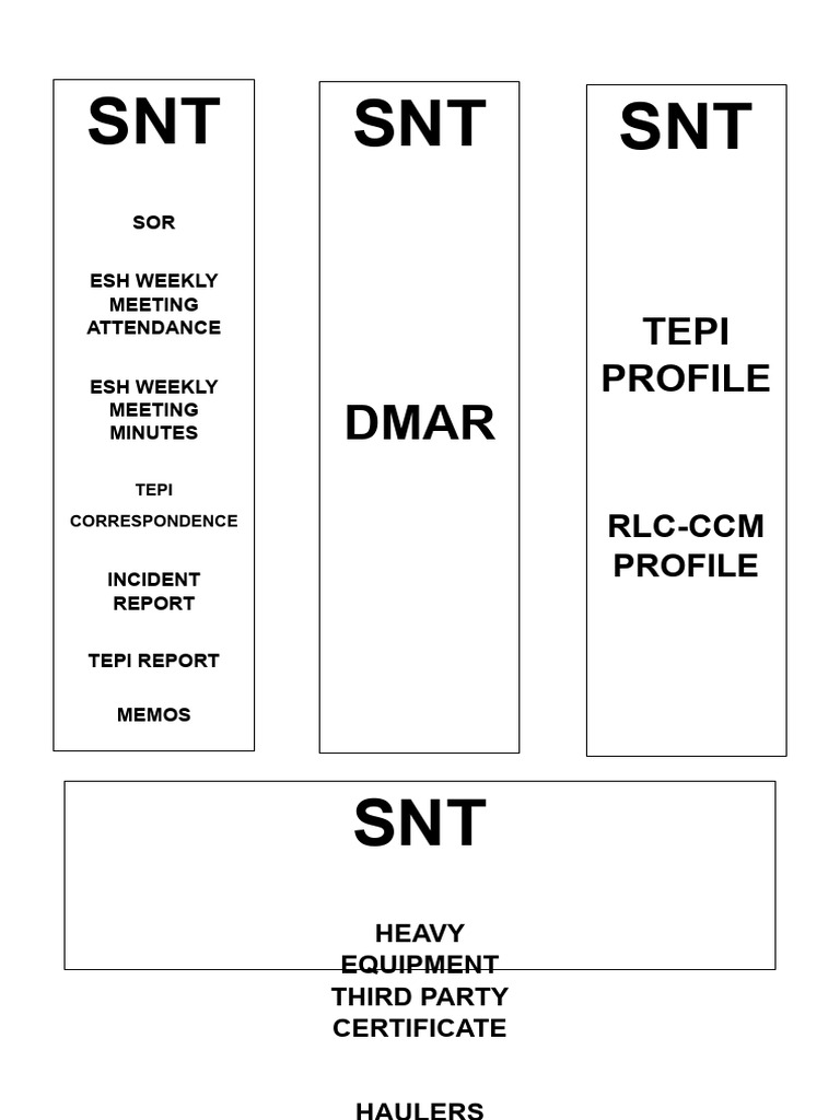 SNT SNT SNT: Tepi Profile | PDF
