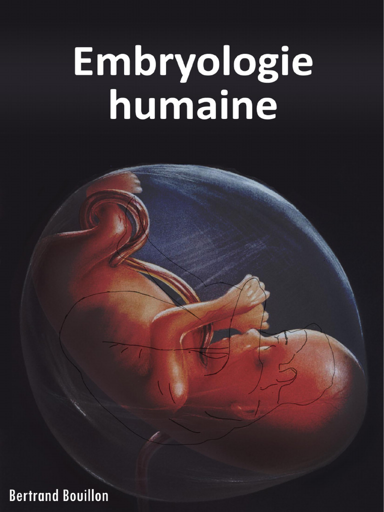 Embryologie Générale | PDF
