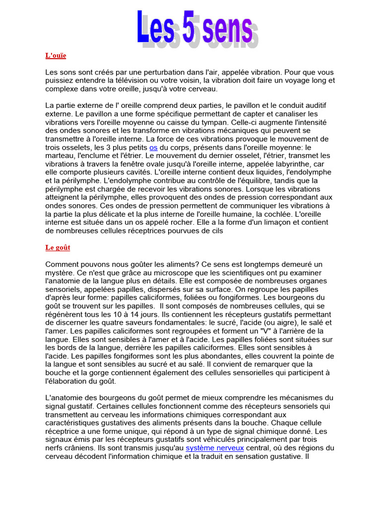 Les 5 sens et leurs mécanismes | PDF | Goût | Oreille