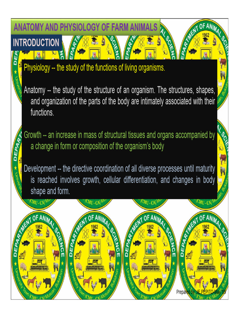 1 Intro Anatomy and Physiology | PDF | Human Body | Tissue (Biology)