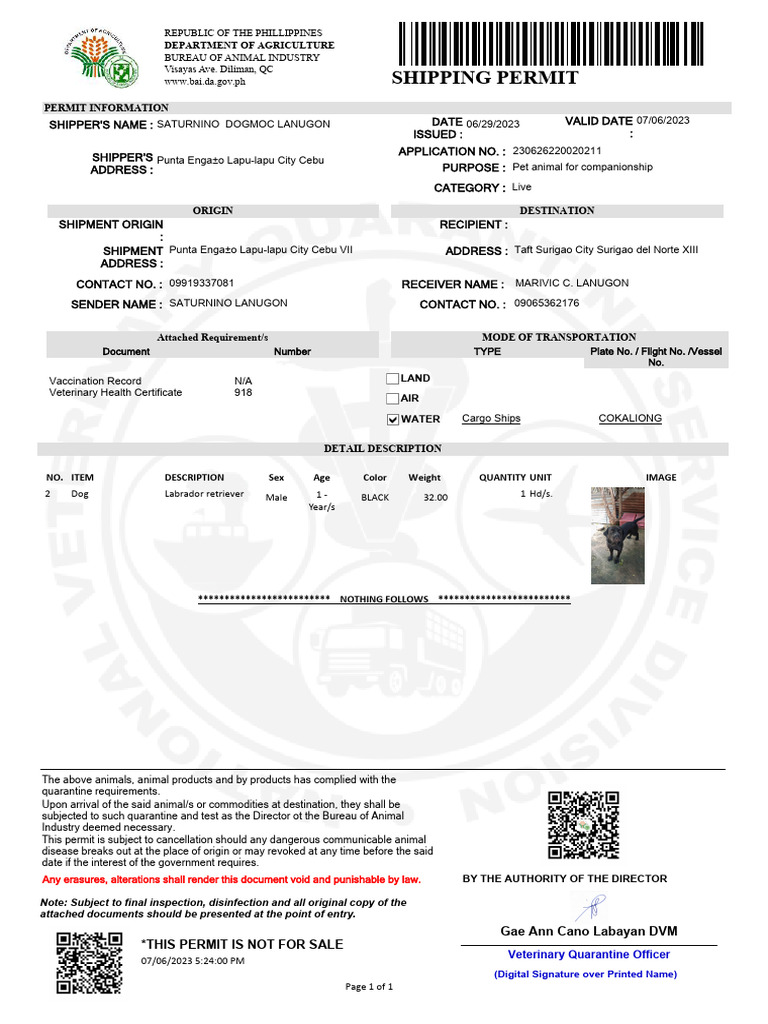 Shipping Permit: Valid Date: Date Issued: Shipper'S Name: Shipper'S ...