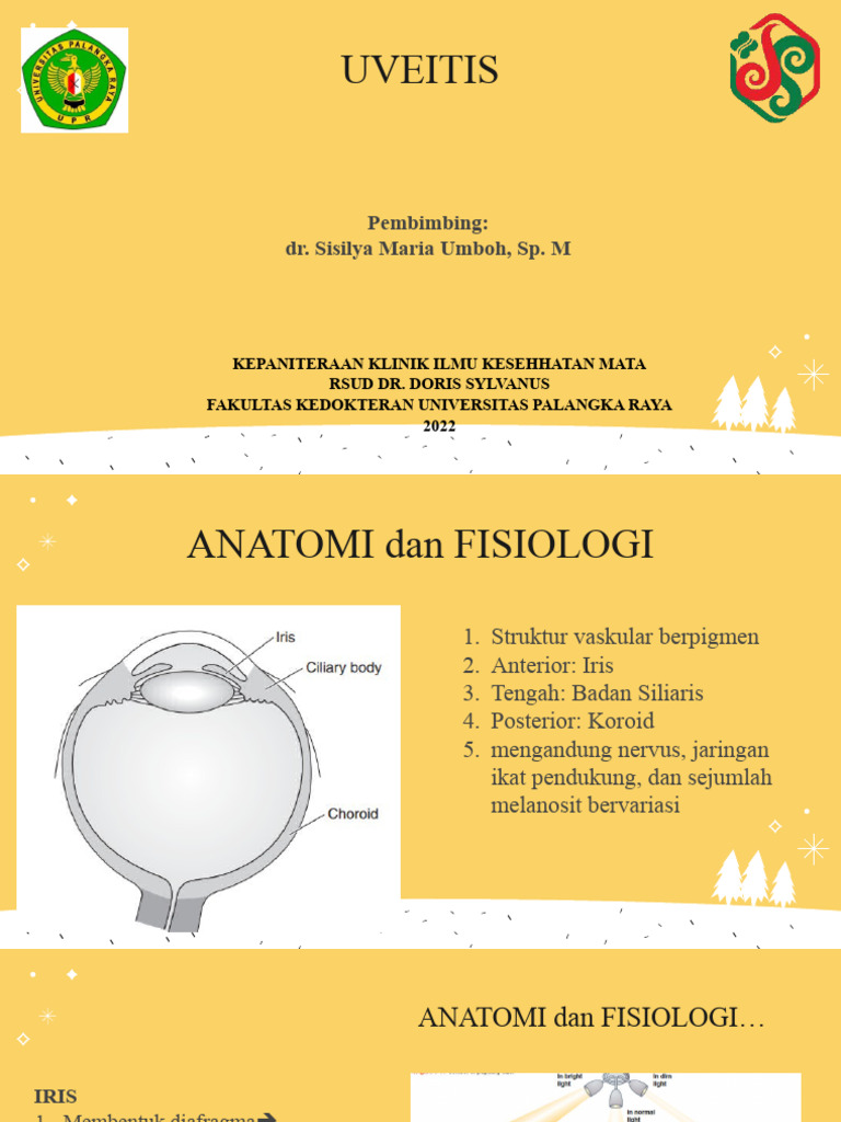 Bimbingan UVeitis | PDF