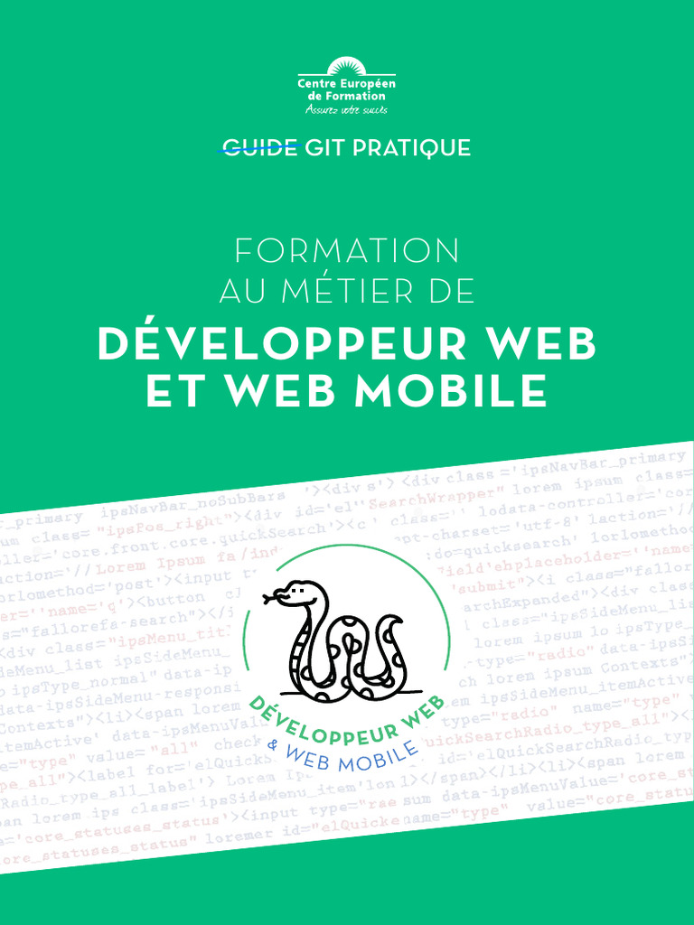 Guide Pratique Devweb-1 | PDF | Internet | Internet et Web