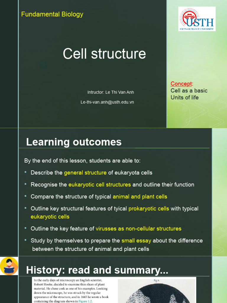 Cell Structure | PDF | Cell (Biology) | Organelle