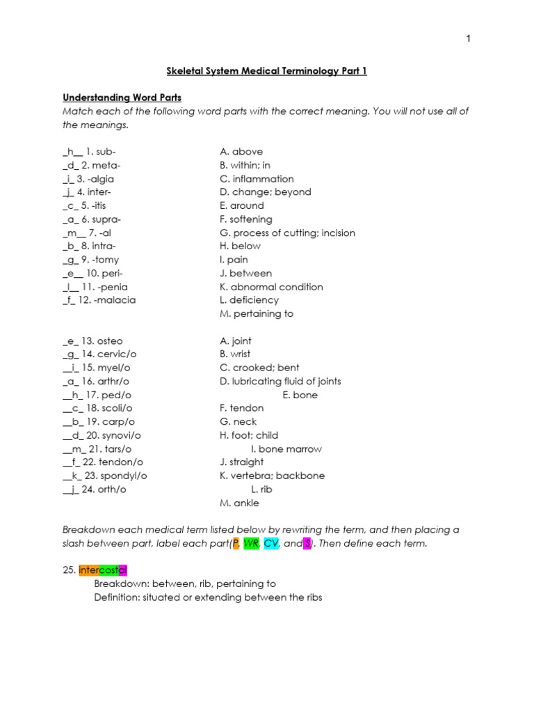 Skeletal System Terminology Guide | PDF