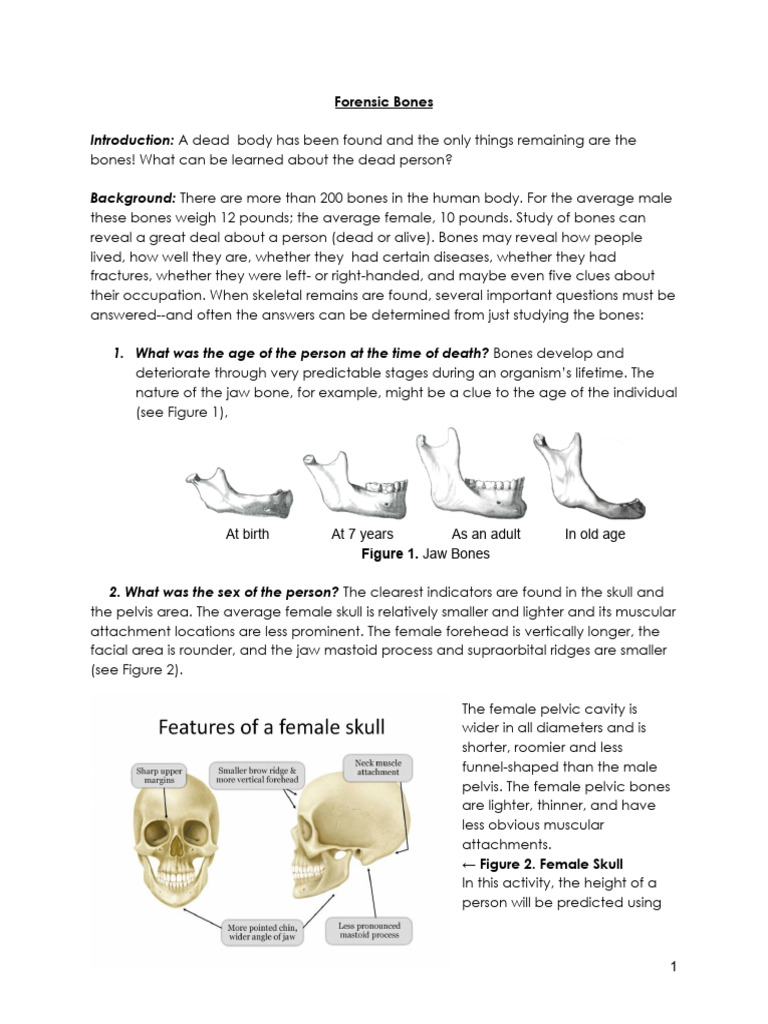 Forensic Bones Lab Virtual | PDF | Sports & Recreation | Science ...