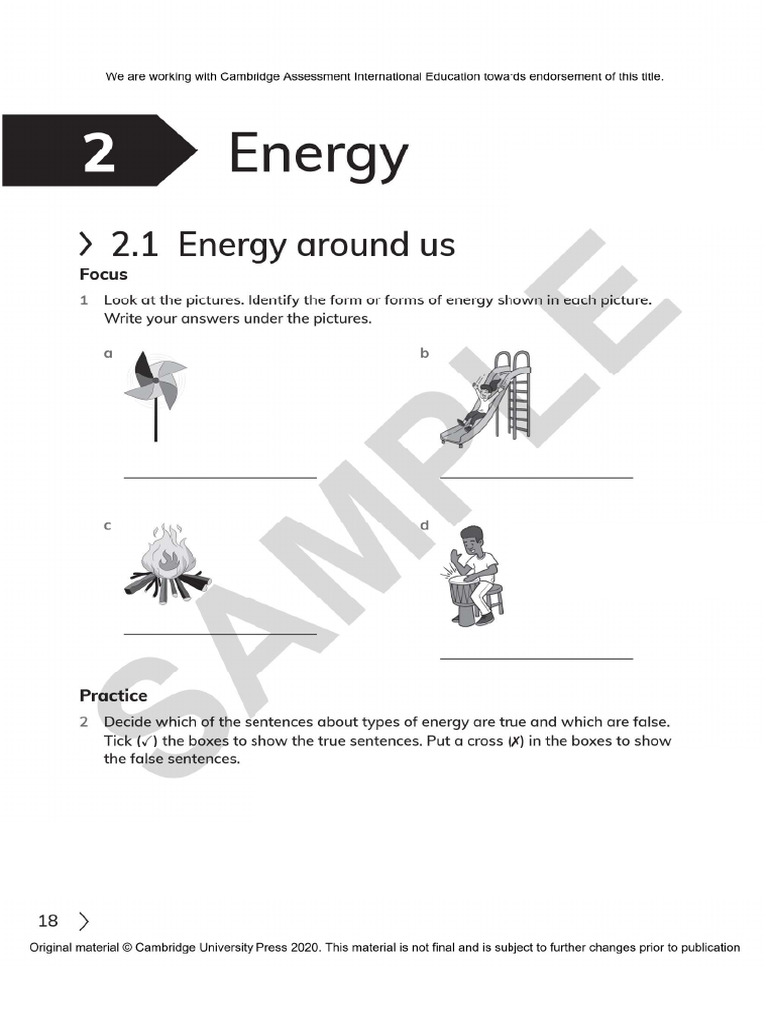 Science WB4 Unit 2 | PDF