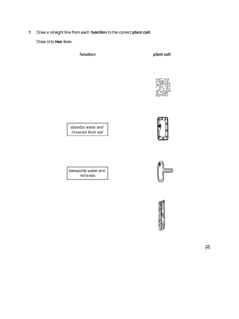 F1 Science Exam | PDF