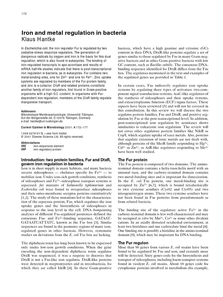 Iron and Metal Regulation in Bacteria | PDF