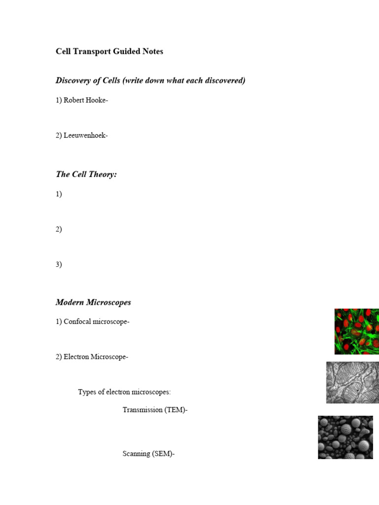 Cell Transport Guided Notes2023 | PDF