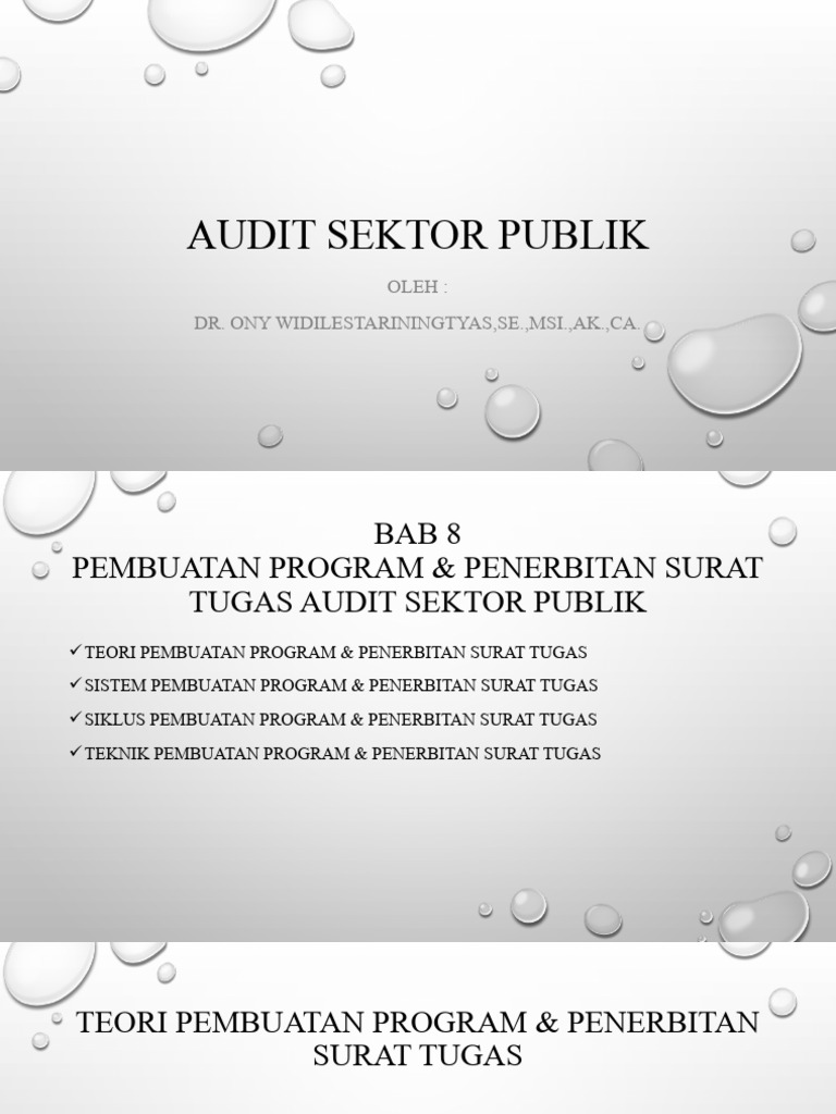 Bab 8 Pembuatan Program & Penerbitan Surat Tugas Audit Sektor Publik ...