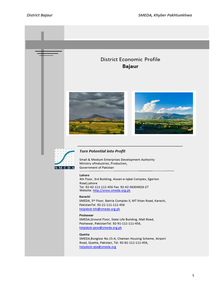 District Economic Profile Bajaur Utd | PDF