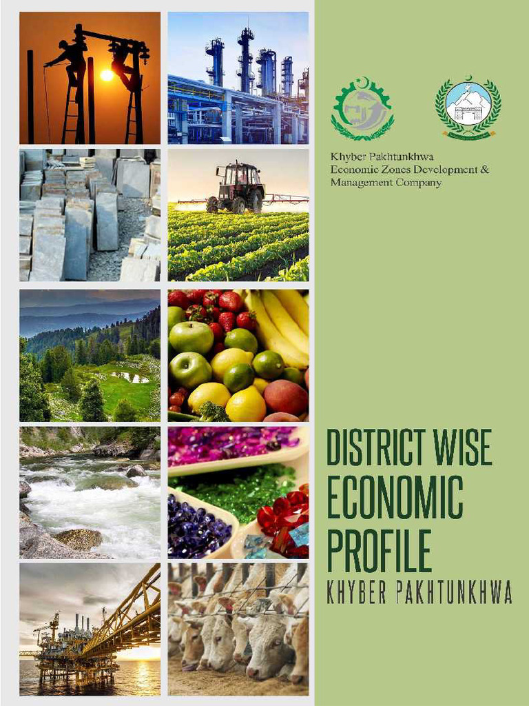 District-Wise Economic Profiles | PDF