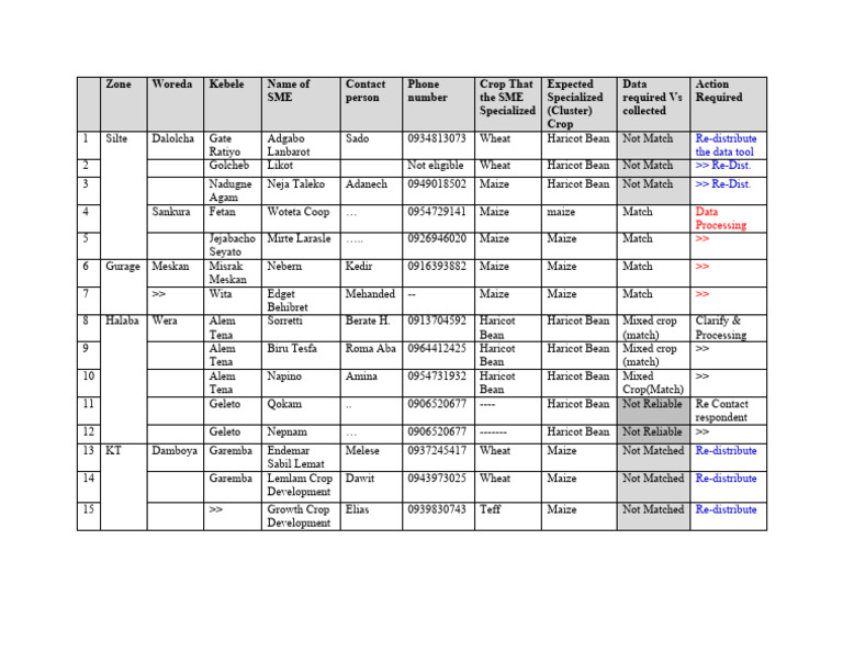 Business plan Data Collection Summary Sheet | PDF