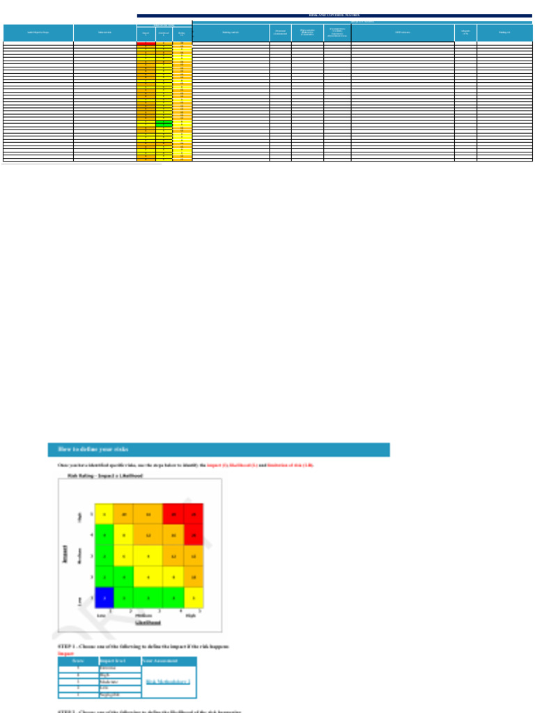 Internal Audit Risk and Control Matrix Template | PDF