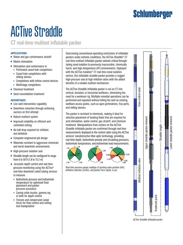 Active Straddle Packer Ps | PDF