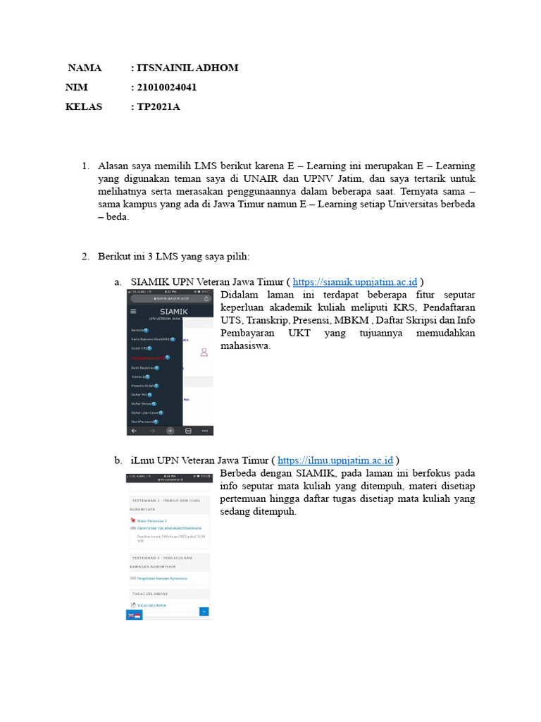 041 Itsnainil Adhom Lms Tik | PDF | Karier & Perkembangan | Seni