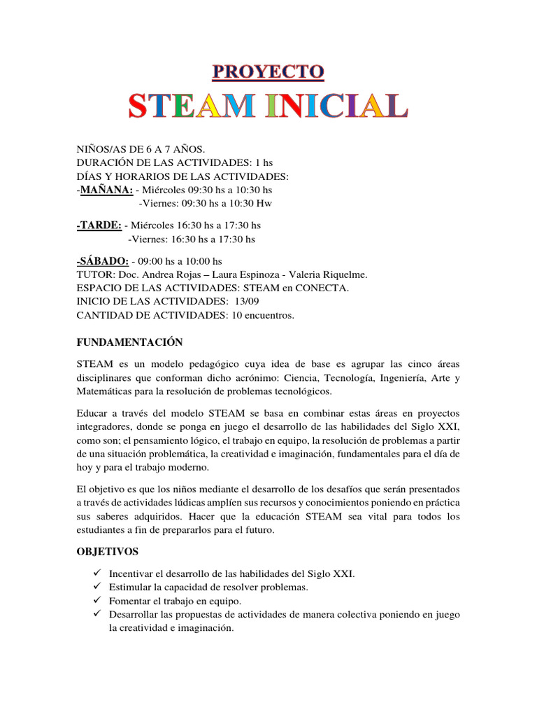 Steam Inicial Proyecto | PDF