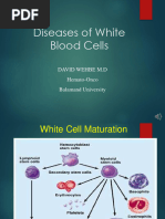 Understanding Stress Leukogram Patterns | PDF | White Blood Cell ...