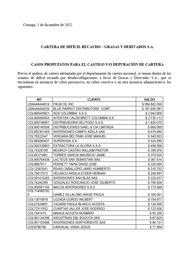 Informe Castigo de Cartera 02-12-2022 | PDF