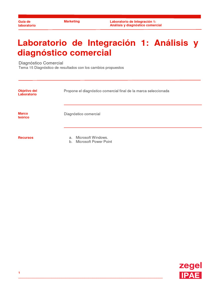 Lab Integr I Analisis y Diagnost Comercial 15 | PDF