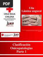 Onicectomia | PDF | Clavo (anatomía) | Dedo del pie