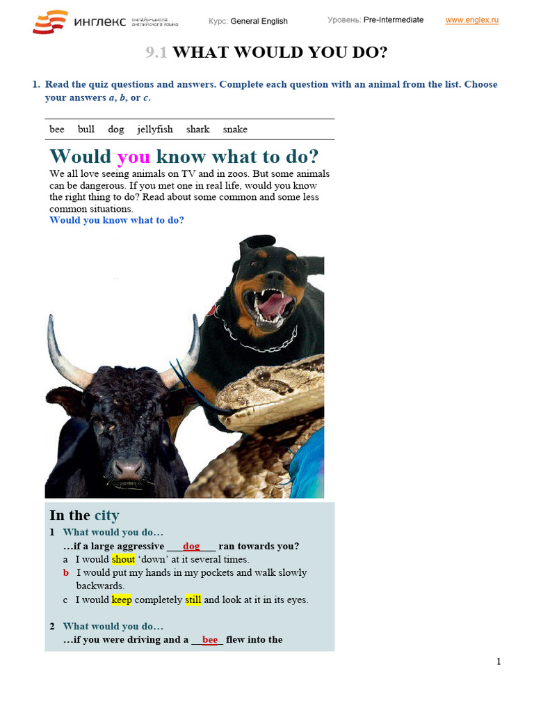 9.1 What would you do | PDF