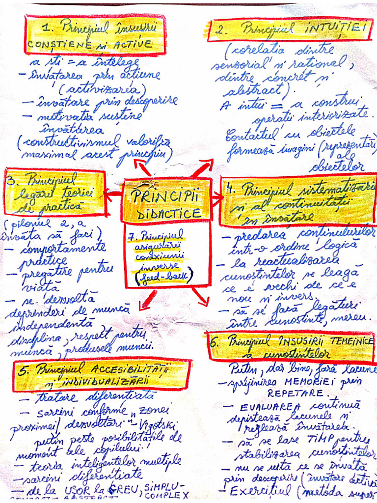 Principii Didactice.irina | PDF
