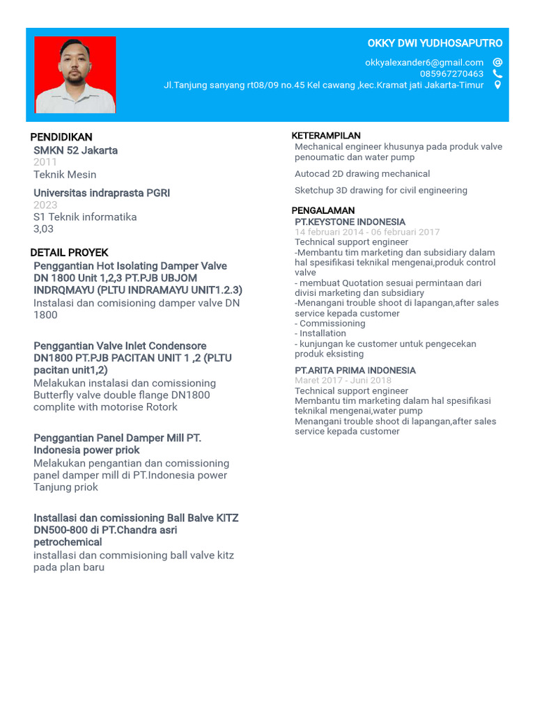 CV - Okky 2023 | PDF