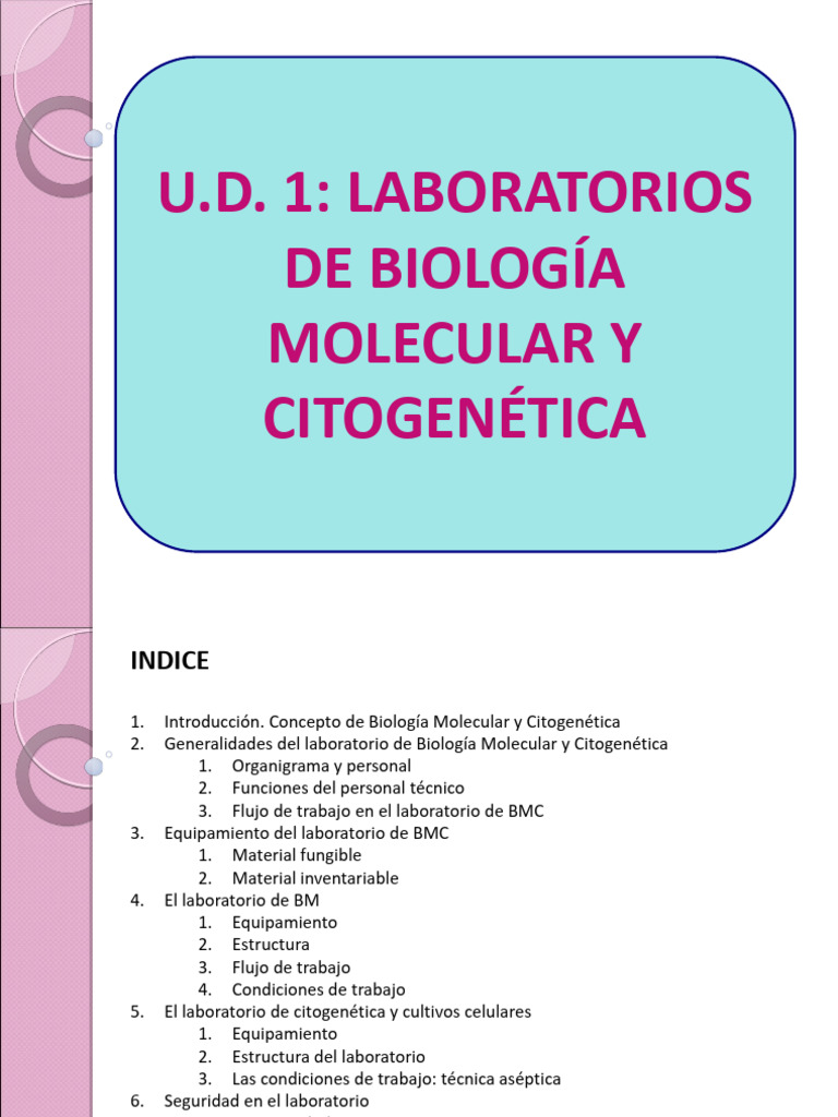 Unidad 1 Labo BMC | PDF