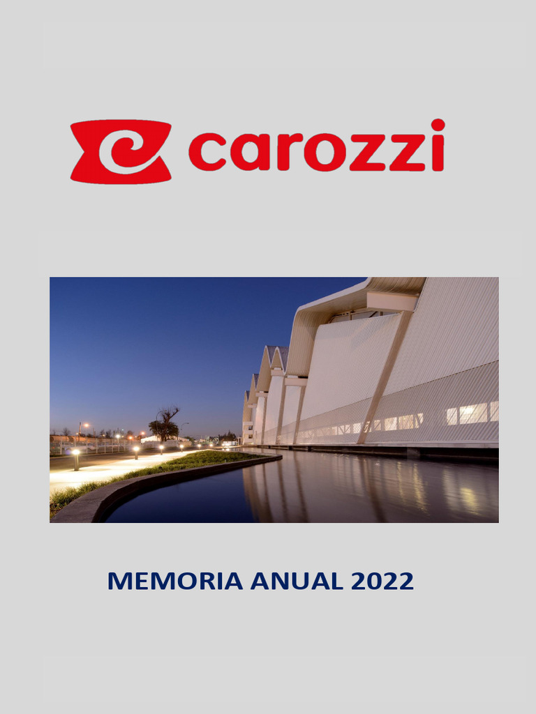 Memoria Carozzi | PDF | Dividendo | Chile