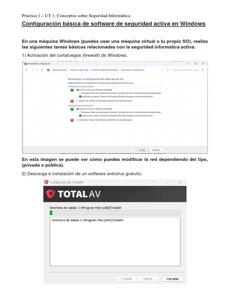 Software Básico de Seguridad Activa Edgar | PDF