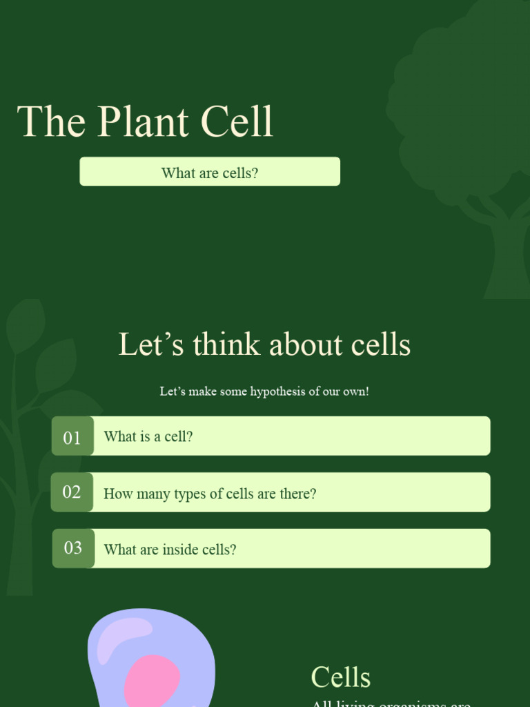 Grade 6 Plant Cells | PDF | Wellness | Science & Mathematics