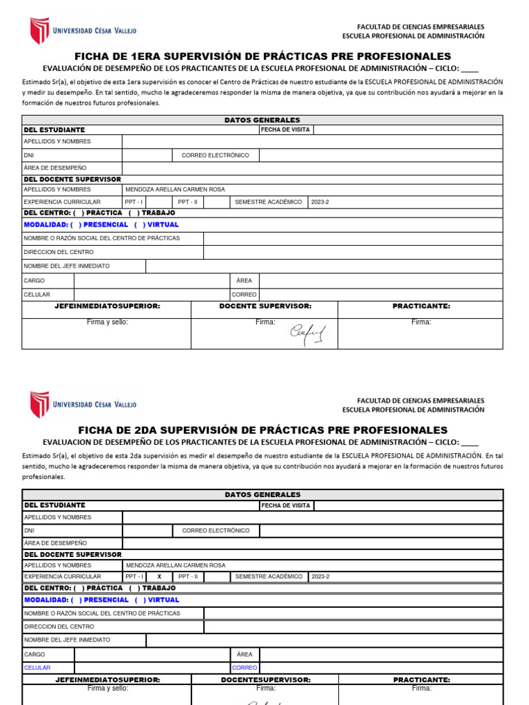 Fichas de Supervisión 2023-2 | PDF