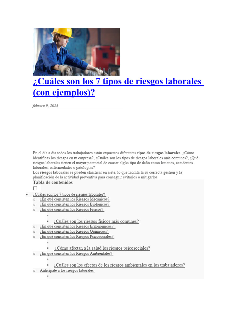 Cuáles Son Los 7 Tipos de Riesgos Laborales | PDF
