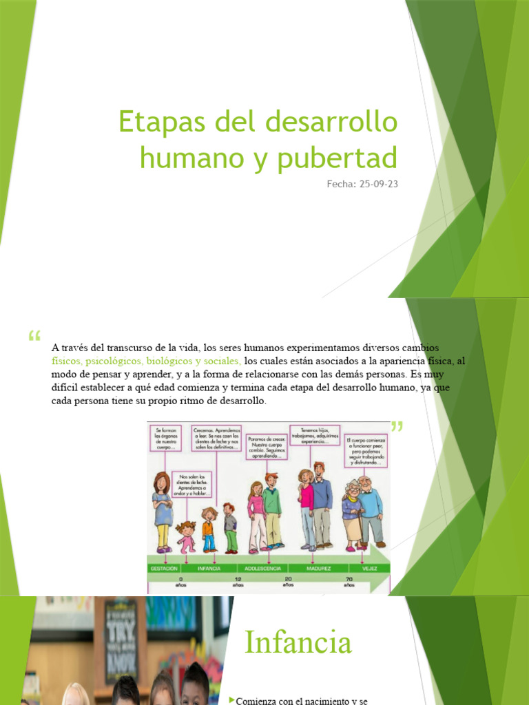 Etapas Del Desarrollo Humano y Pubertad | PDF | Sistema reproductivo ...