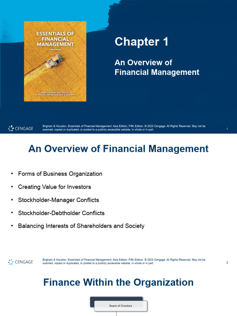 Brigham EFM5 Ch01 | PDF