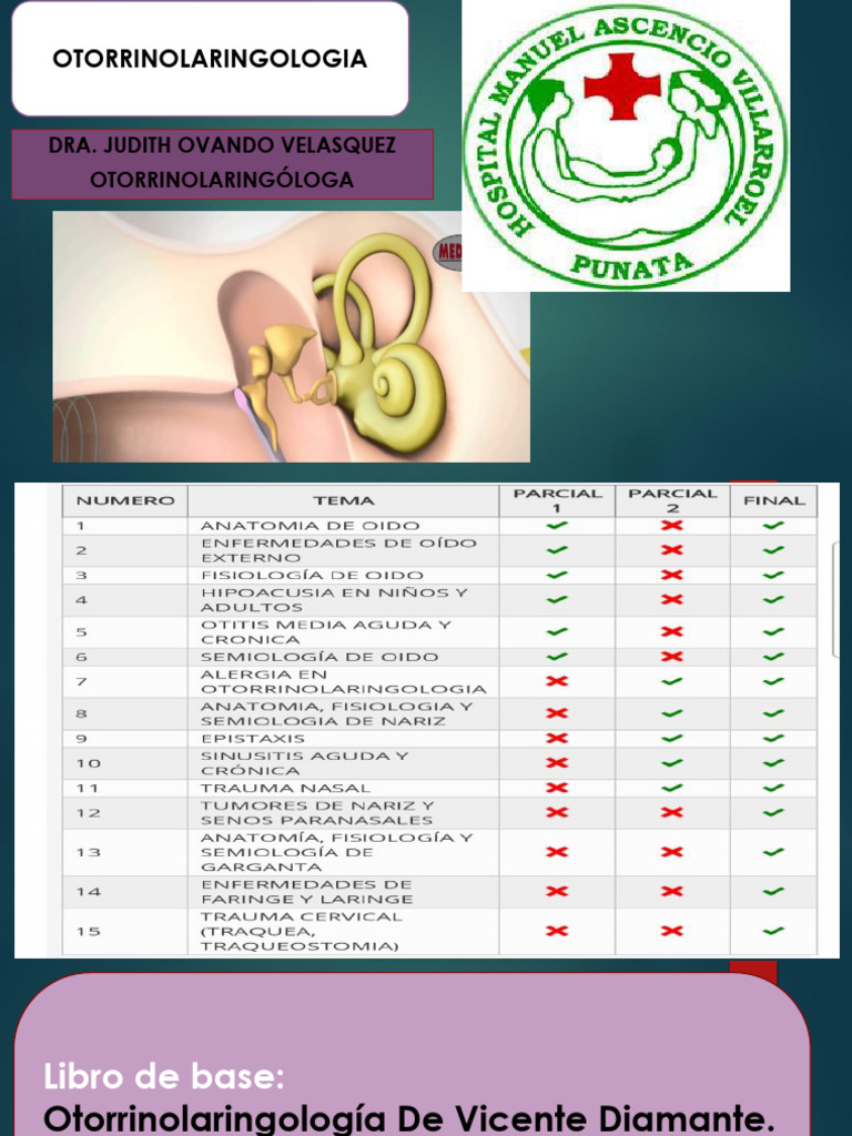 Diapos Unidas PDF | PDF