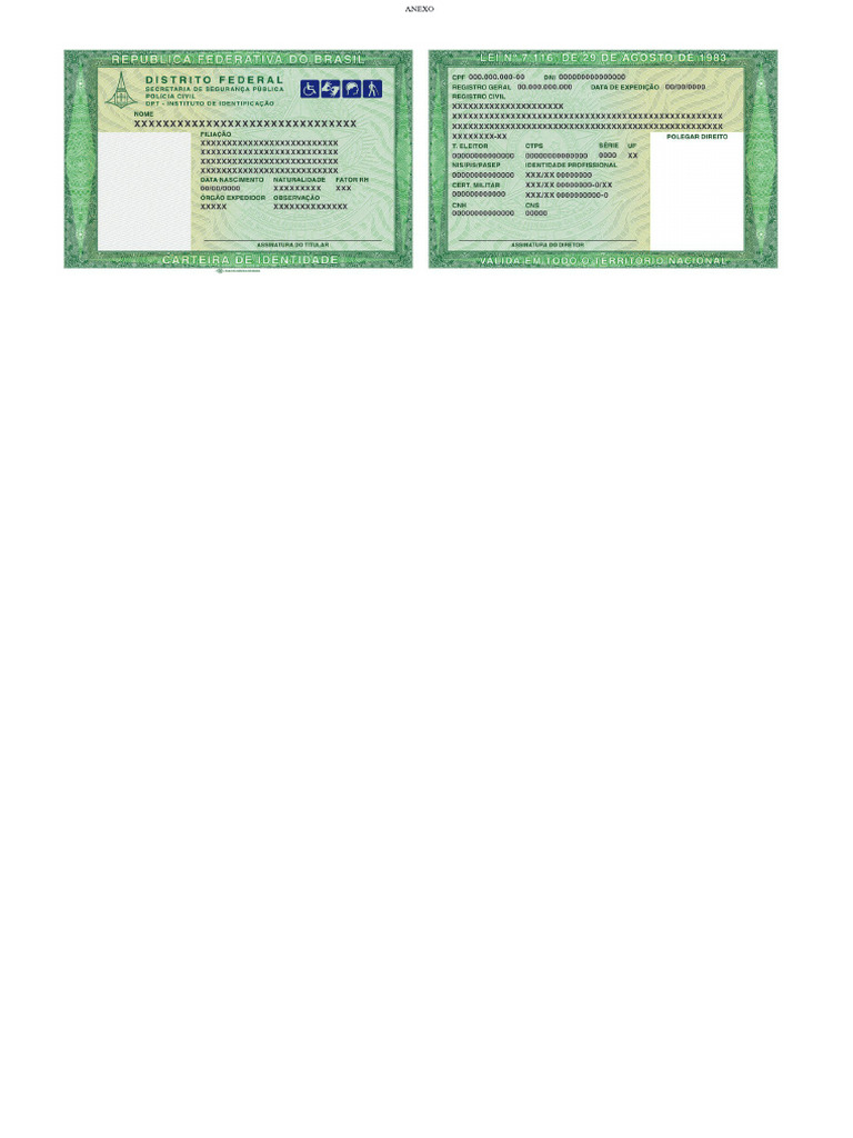 Modelo RG Novo | PDF