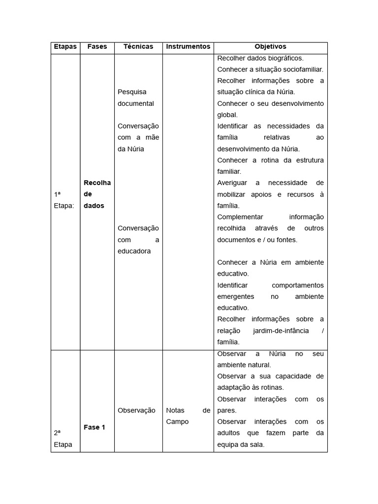 Fases T Cnicas e Instrumentos Objetivos Vers o 2.1 | PDF